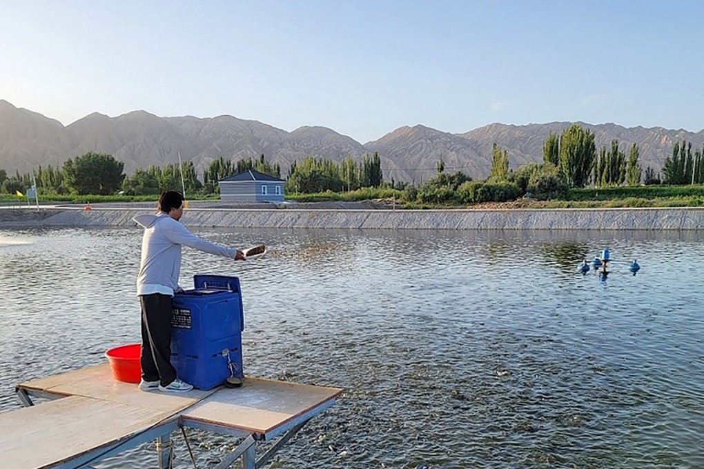 China’s food security: Xinjiang develops seawater aquafarming in desert ...