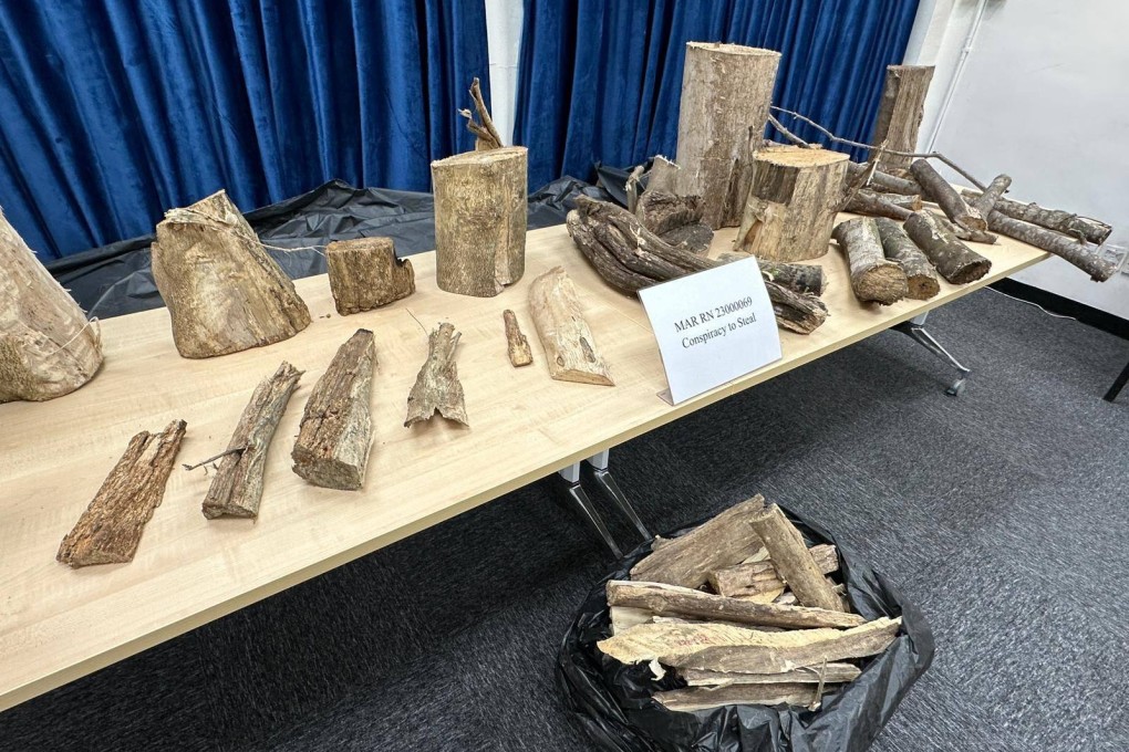 5 Hong Kong family members arrested after police seize protected ...