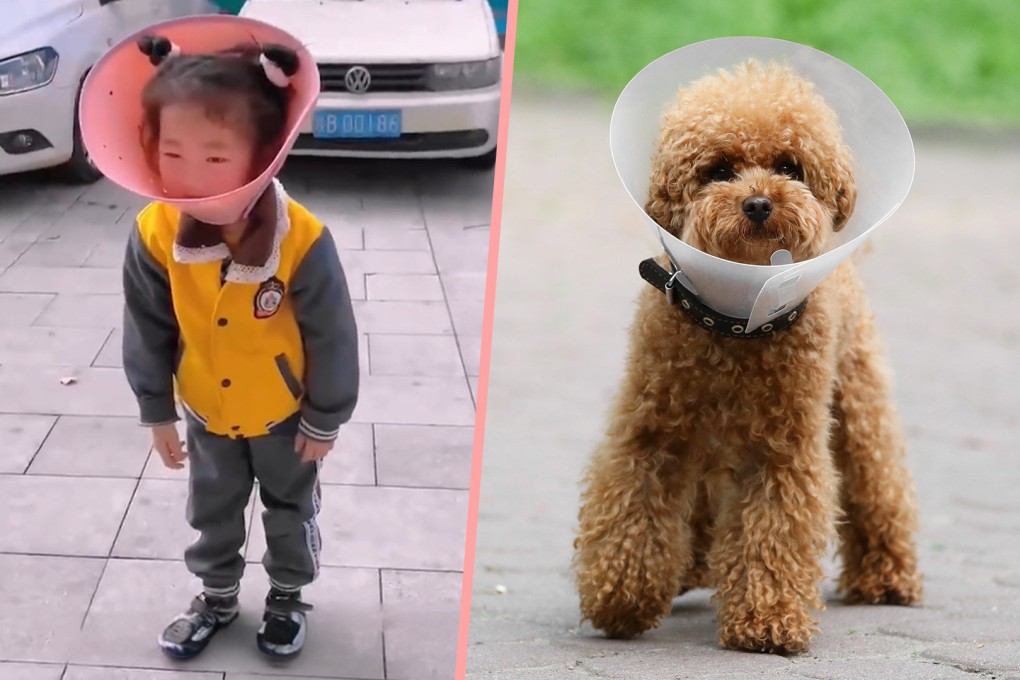 Man makes granddaughter, 5, wear dog cone collar to stop her playing on ...