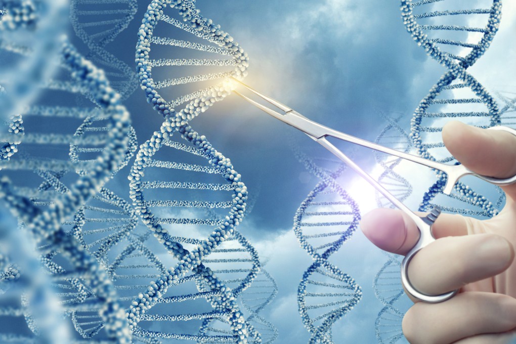 China builds world’s most detailed human genome with ‘enormous ...