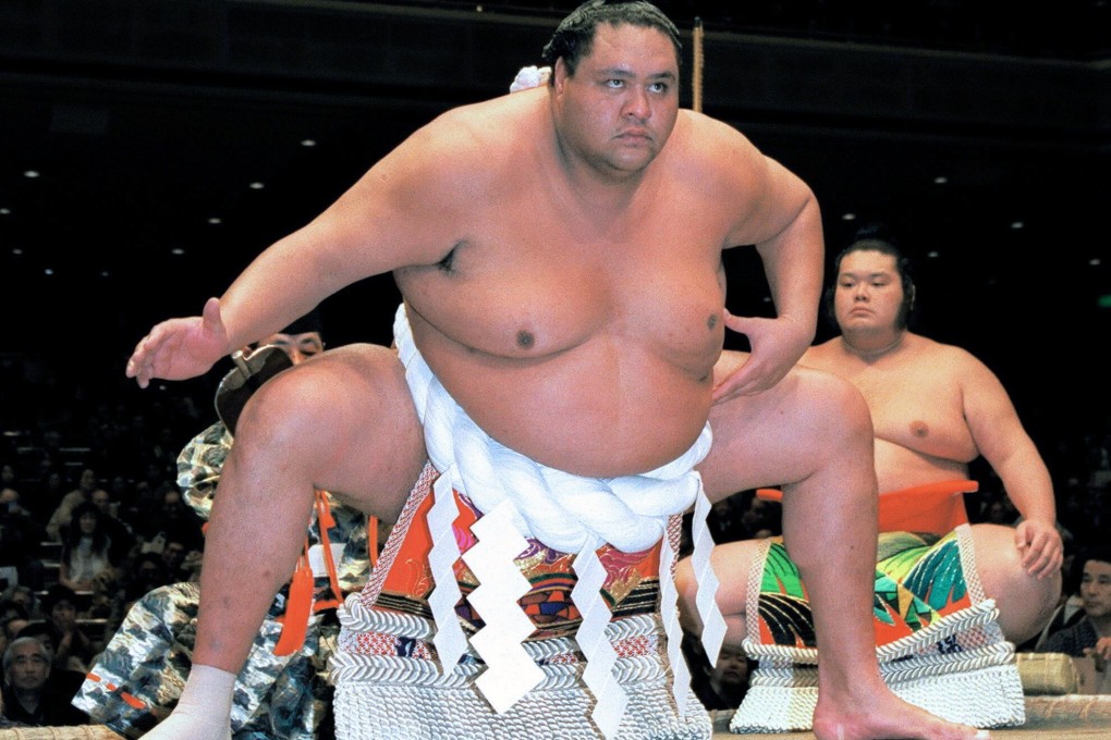 sumo instructor