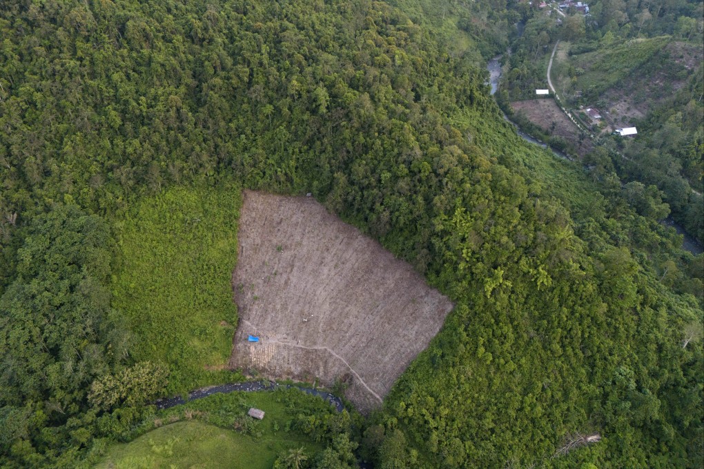 Deforestation in Indonesia spiked last year – but data analysis ...