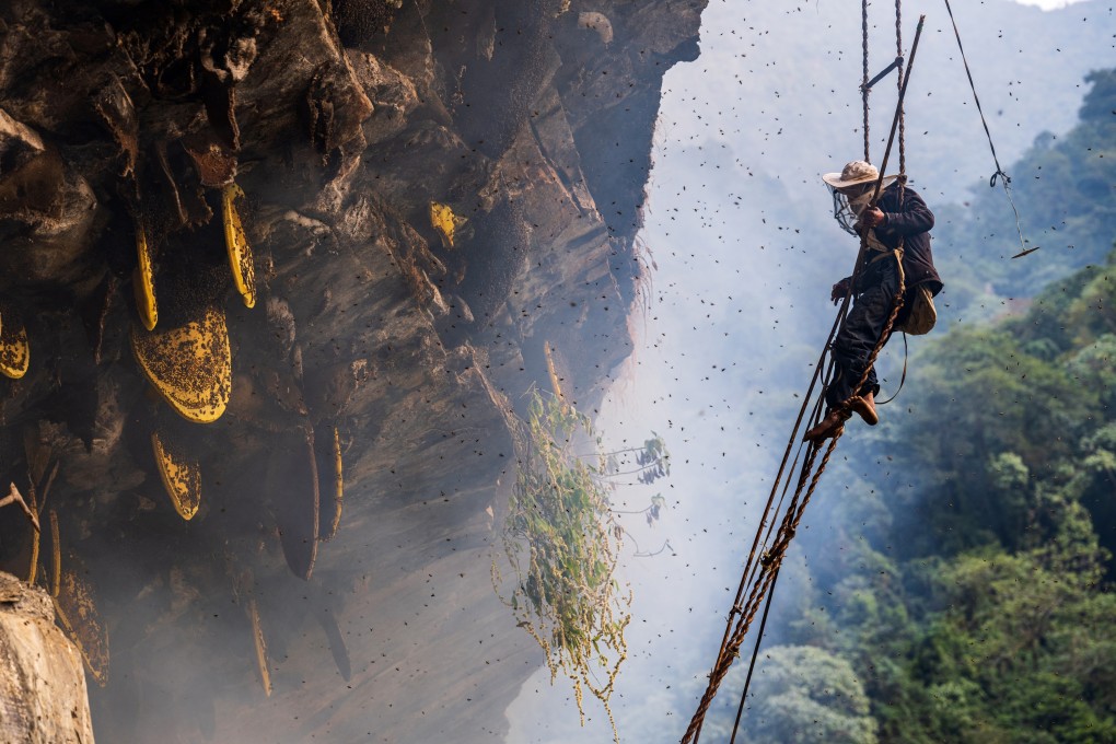 Hong Kong health authorities probe third case of suspected mad honey ...
