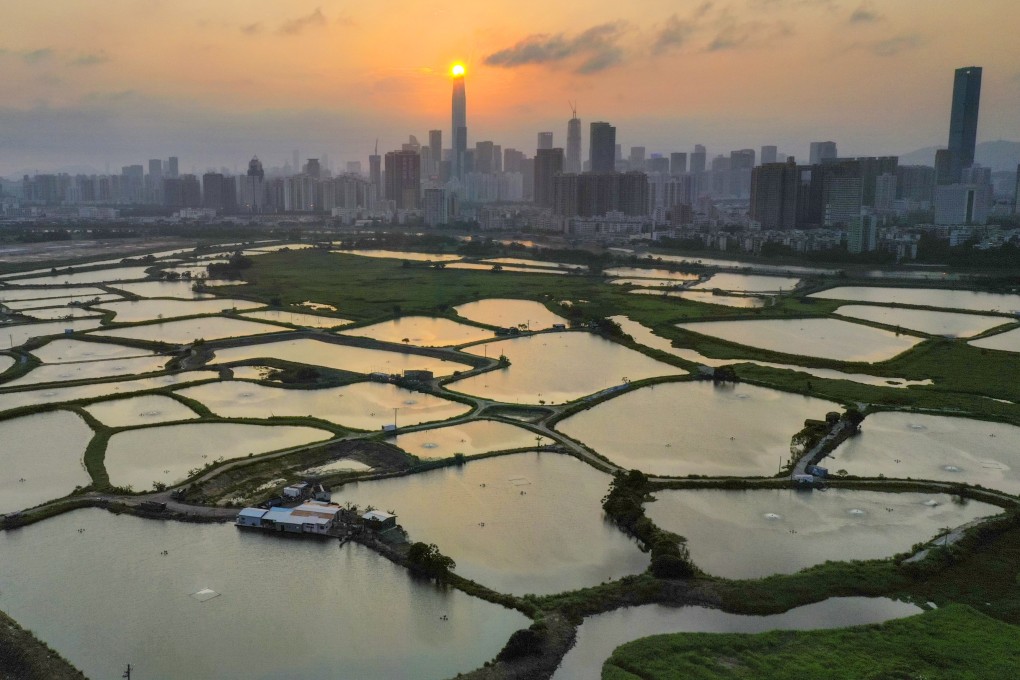 Consultant lays out vision for wetland park creation in Hong Kong’s ...