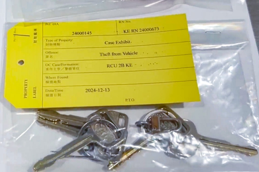 Hongkonger arrested in connection with 30 cases of car theft and break ...