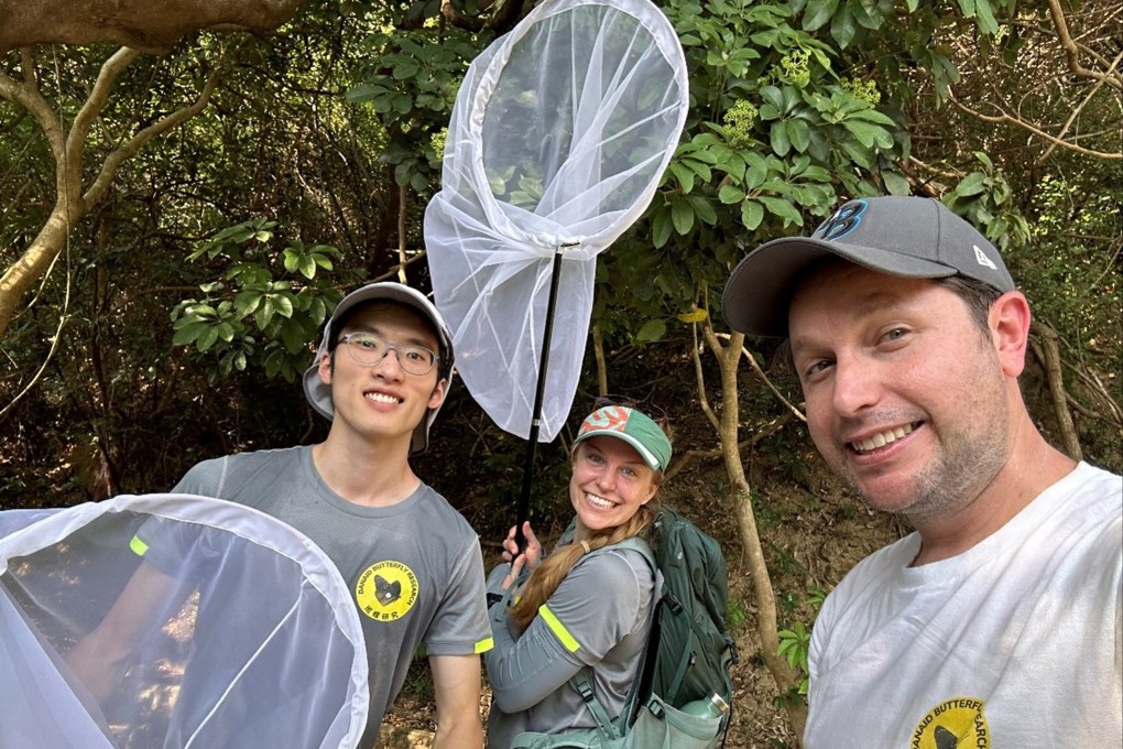 Rare butterfly flies from Japan to Hong Kong | South China Morning Post