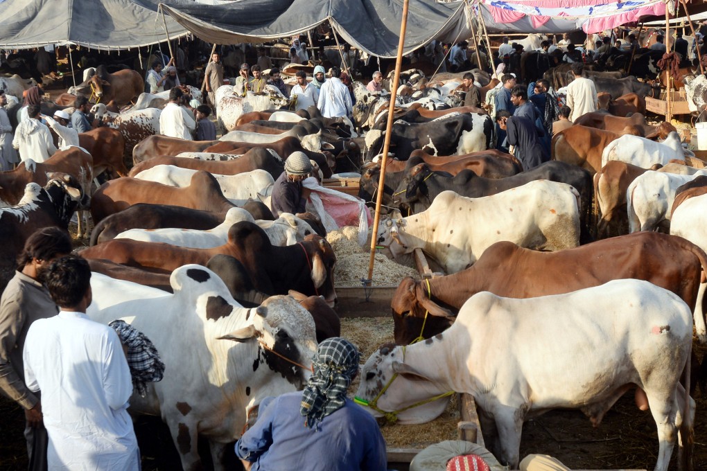Pakistan Animals