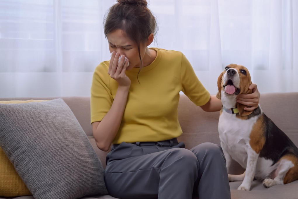 Allergic to your pet? 7 myths about cat fur, dog dander and ...