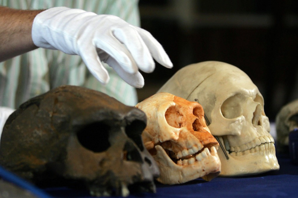 Indian tribes visit UK museum to bring home ancestors’ remains, taken ...