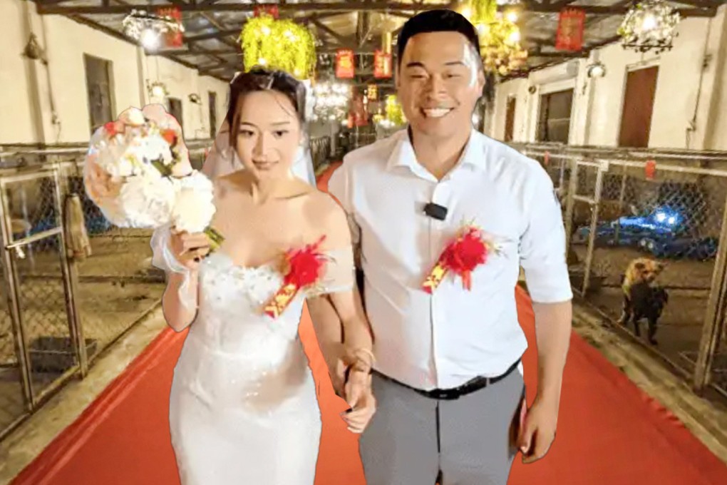 Chinese couple running dog shelter walk down aisle flanked by canines ...