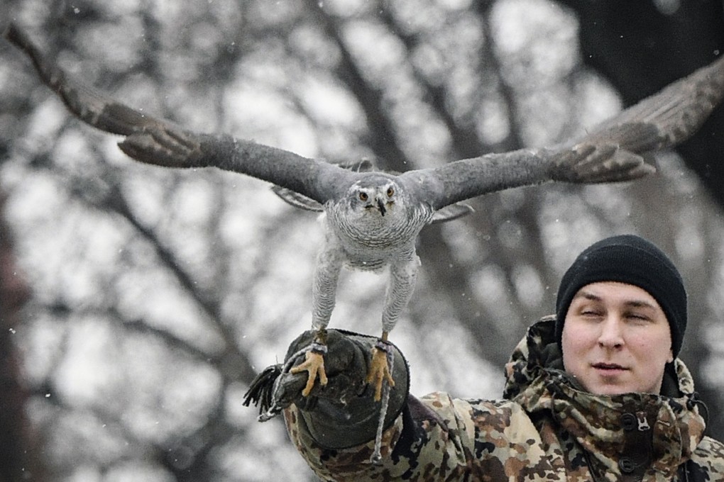 The Kremlin hawks that keep watch over Russia President Vladimir Putin ...