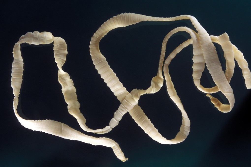 tapeworm bnf