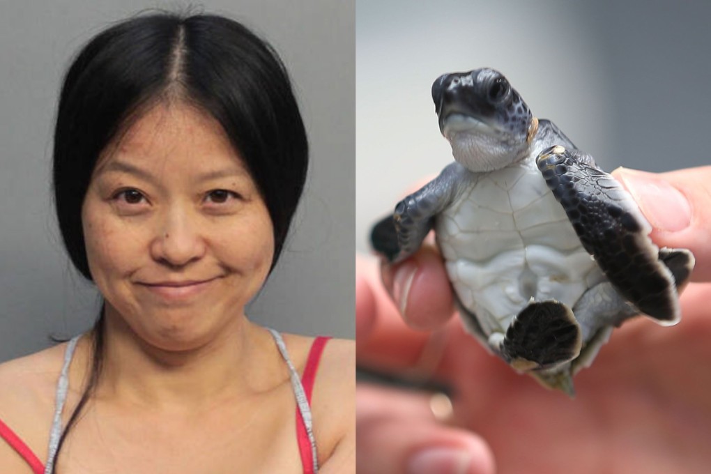 Chinese woman arrested for stomping on endangered sea turtle nest in ...