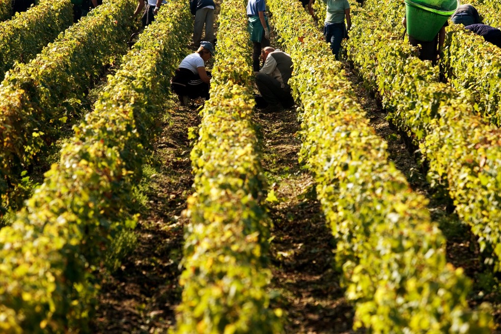 Three wines from Bordeaux’s famous Cazes family | South China Morning Post