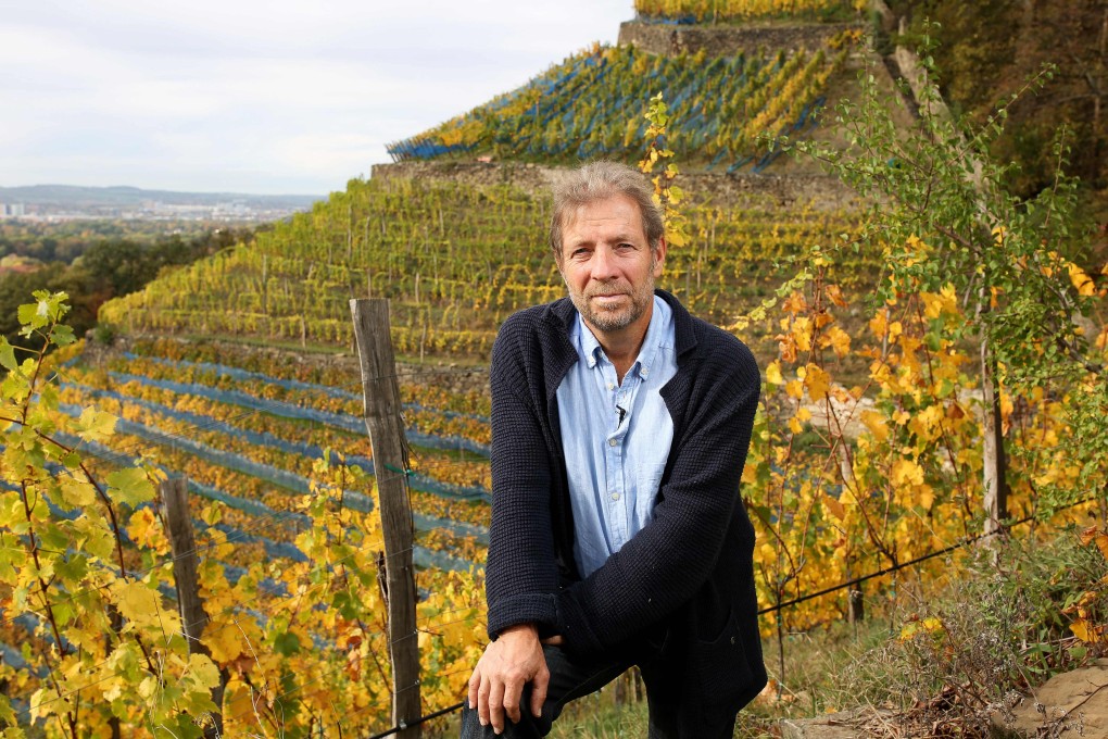 How German wine from Saxony has been transformed by fall of communism ...