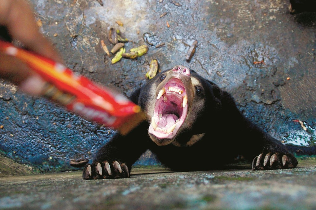 zoos are bad article