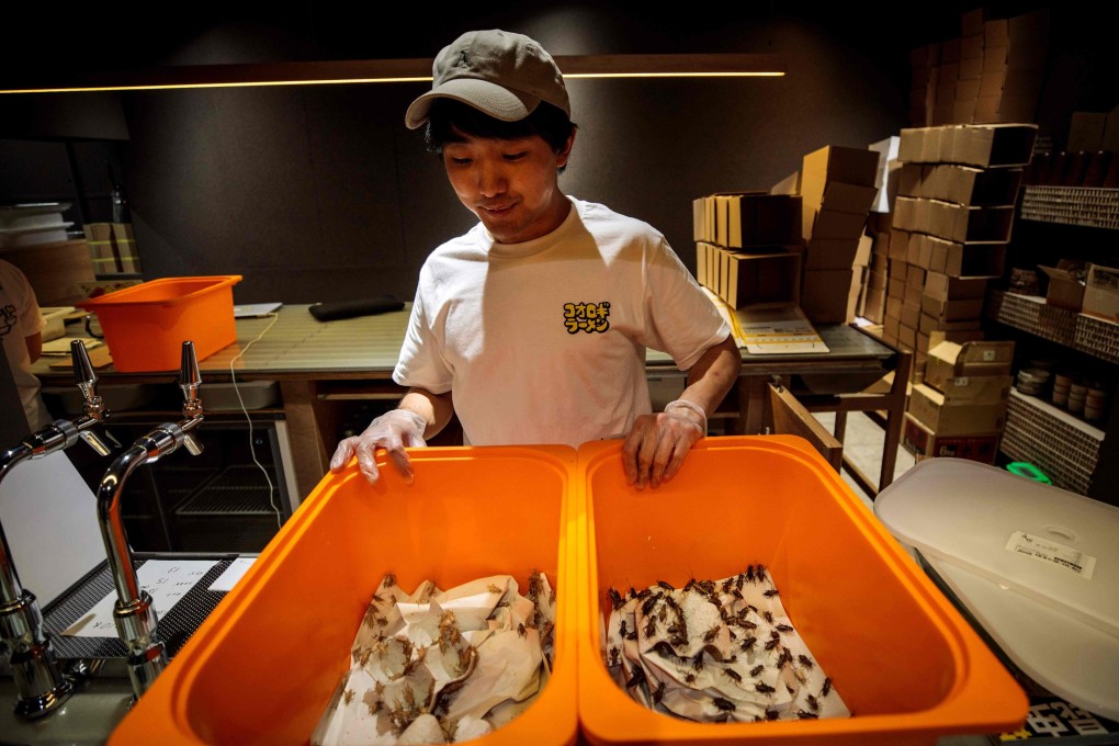 Japanese ramen with insects, from a chef who wants crickets ...