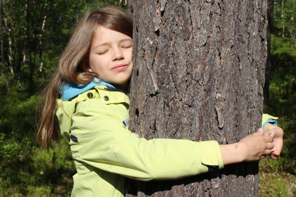 Tree-hugging now has a world champion – and you can join in online, too ...