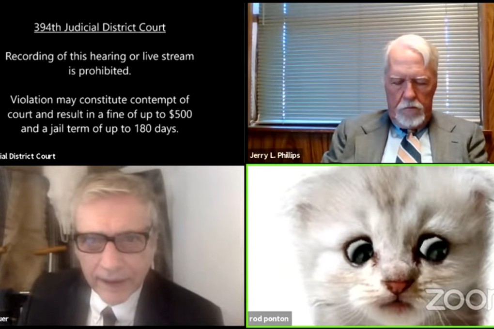 Lawyer tells judge ‘I’m not a cat’ in viral video as he struggles with ...