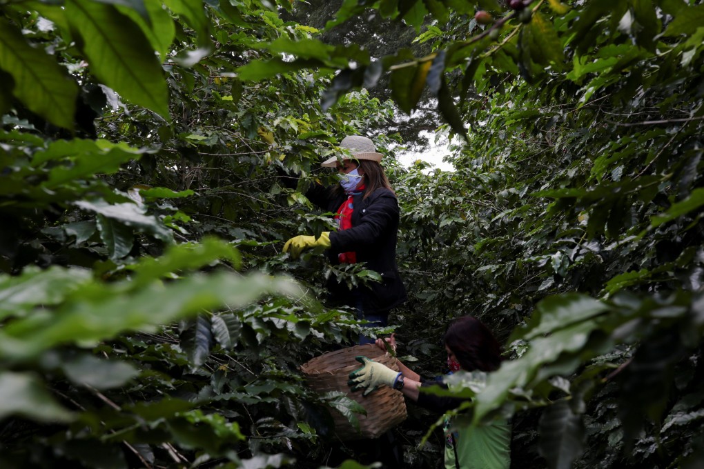 Severe drought in Brazil puts world’s oranges, coffee at risk | South ...