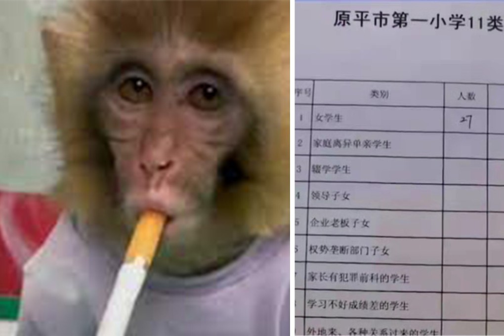 funny monkey smoking