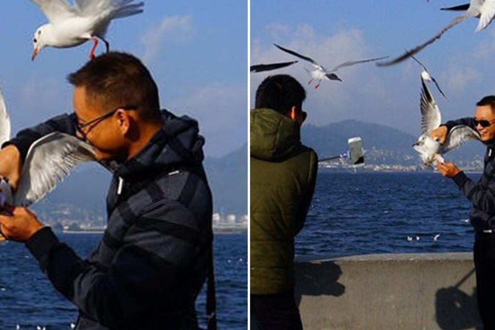 guy walking seagull