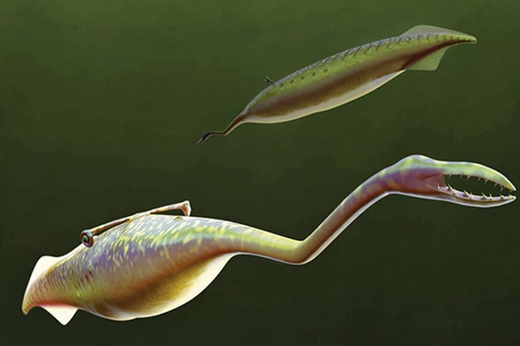 The Tully Monster, one of the weirdest creatures that ever lived, has ...