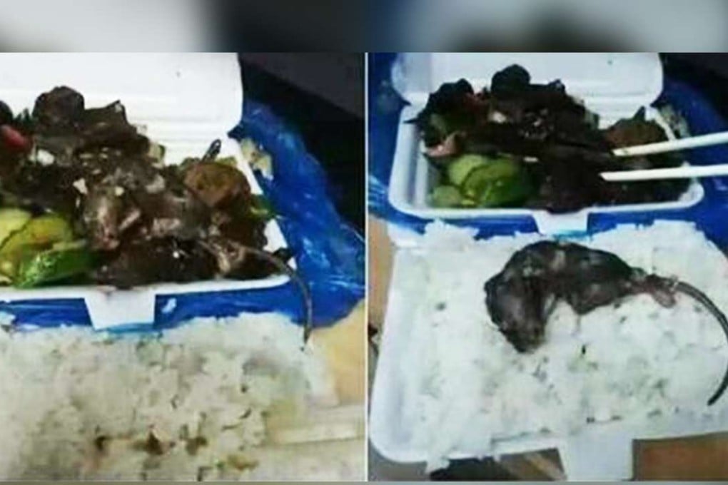 The college canteen that put the rat in ratatouille | South China ...