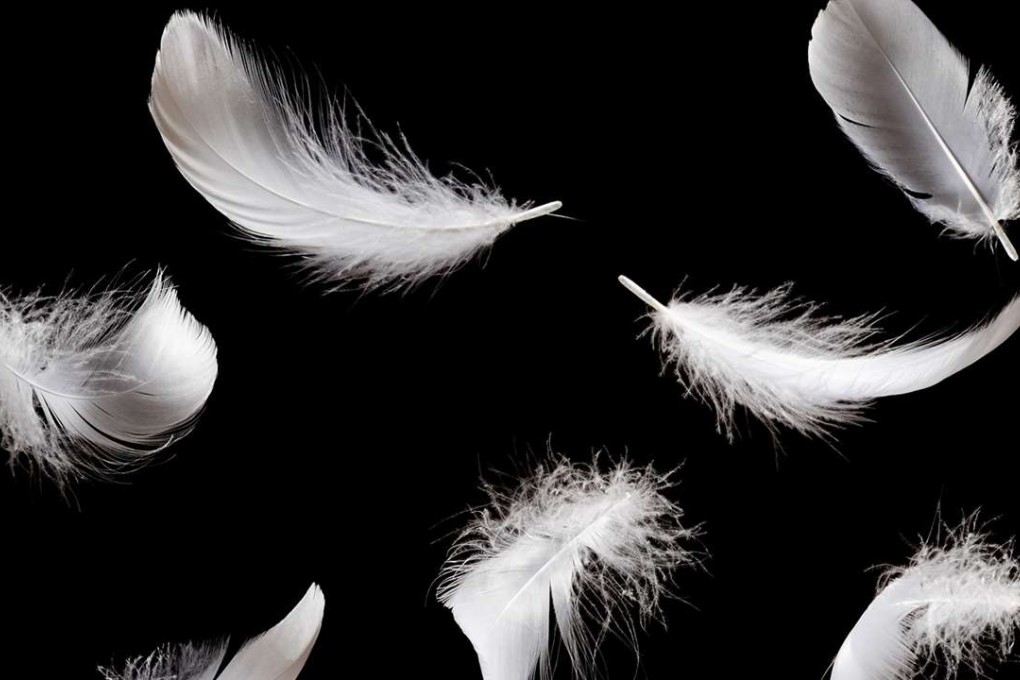 The Japanese futon ‘fraud’ that’s ruffling feathers | South China ...