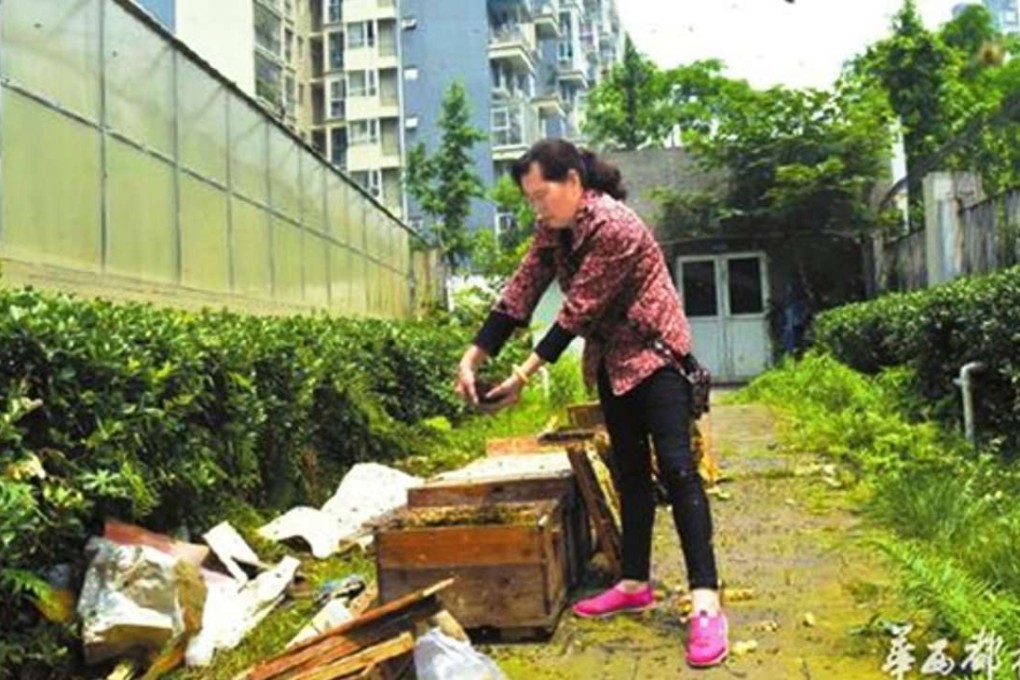 Amateur beekeeper in southwest China loses 60,000 bees to poisoners at ...