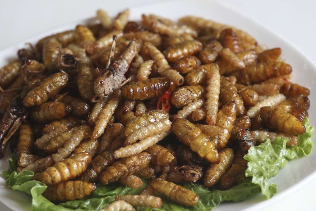 Lovely grub, say Hong Kong’s insect eaters: delicious, nutritious and ...