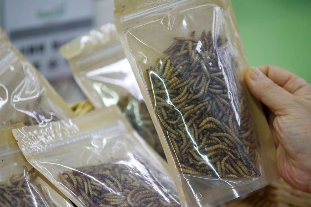 Edible insects on the menu as South Korea launches publicity blitz to ...