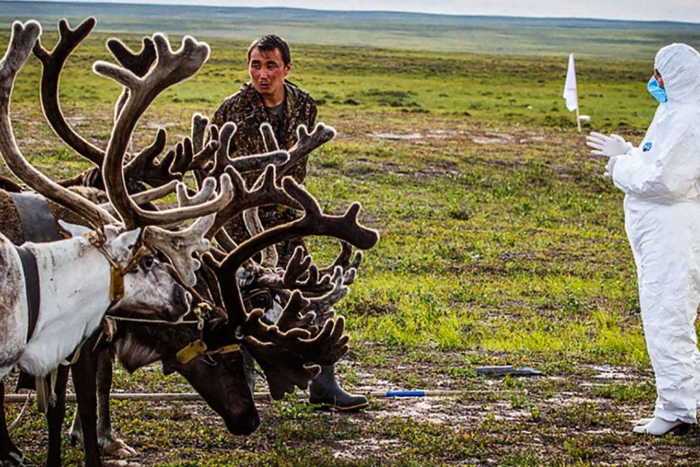 Russian anthrax outbreak shows how global warming threatens to release ...