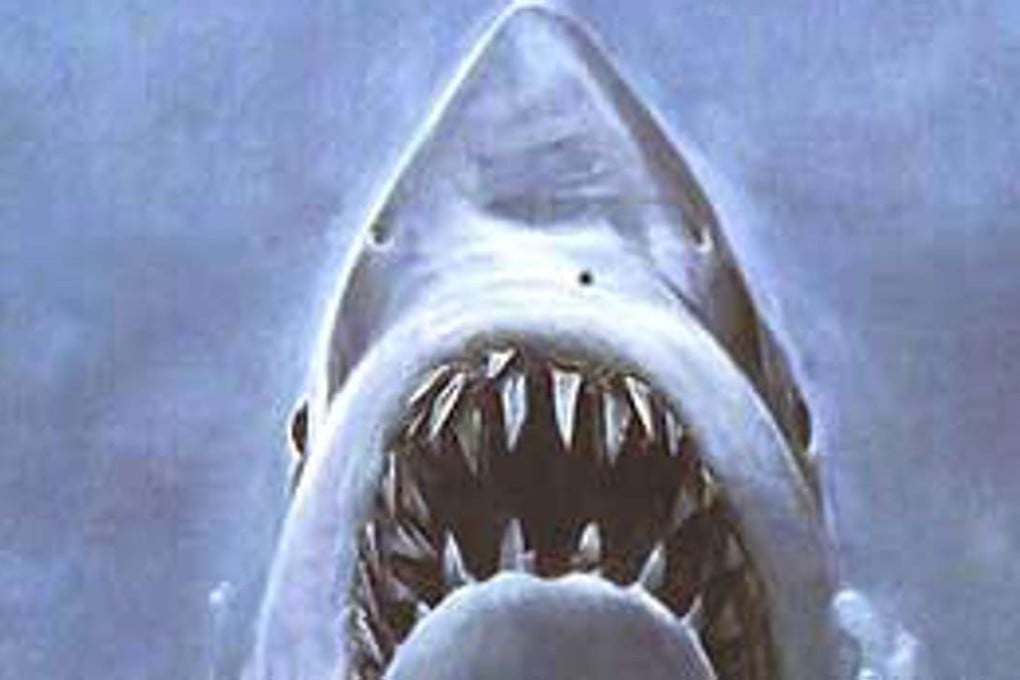 sharks doing jaws theme