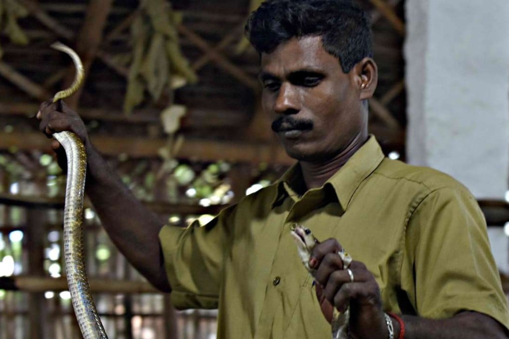 The snake-catching tribe saving lives in India | South China Morning Post