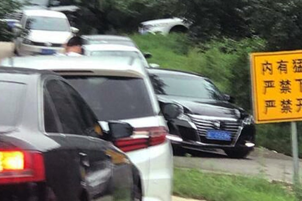 ‘Don’t blame the bears’: another tourist risks life and limb at a ...