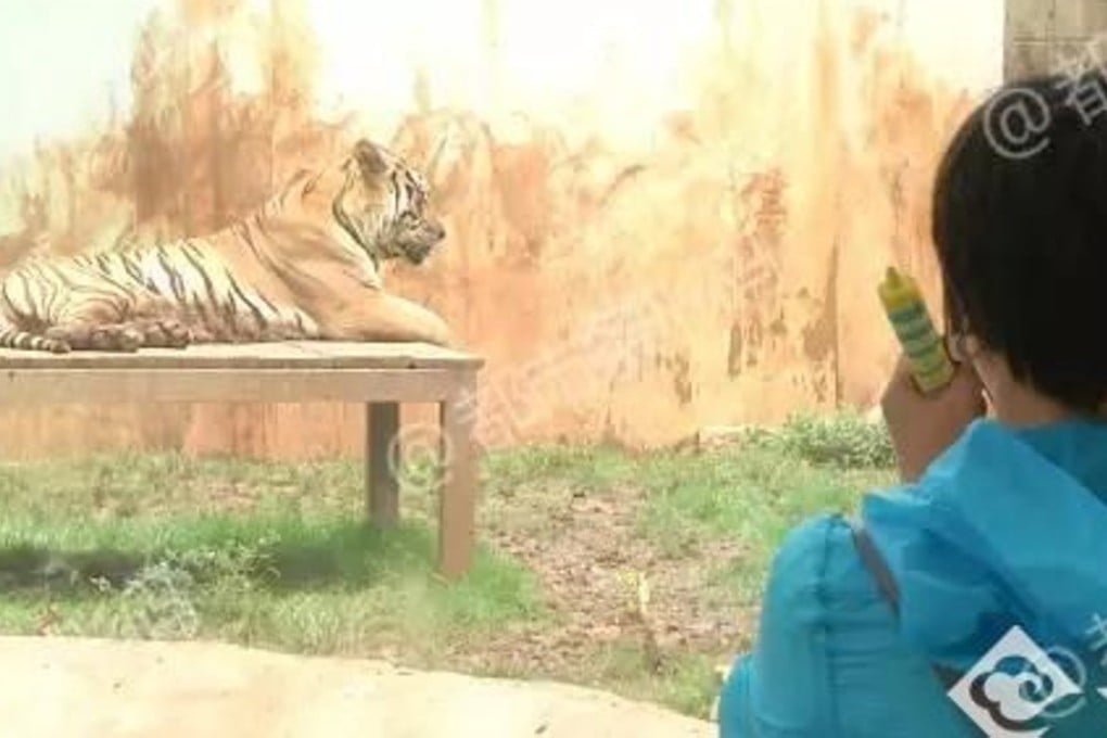 can a tiger kill a cat