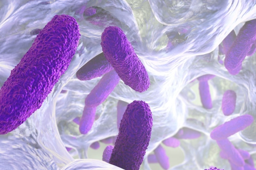 Health officials in Hong Kong and mainland China unite to battle deadly ...