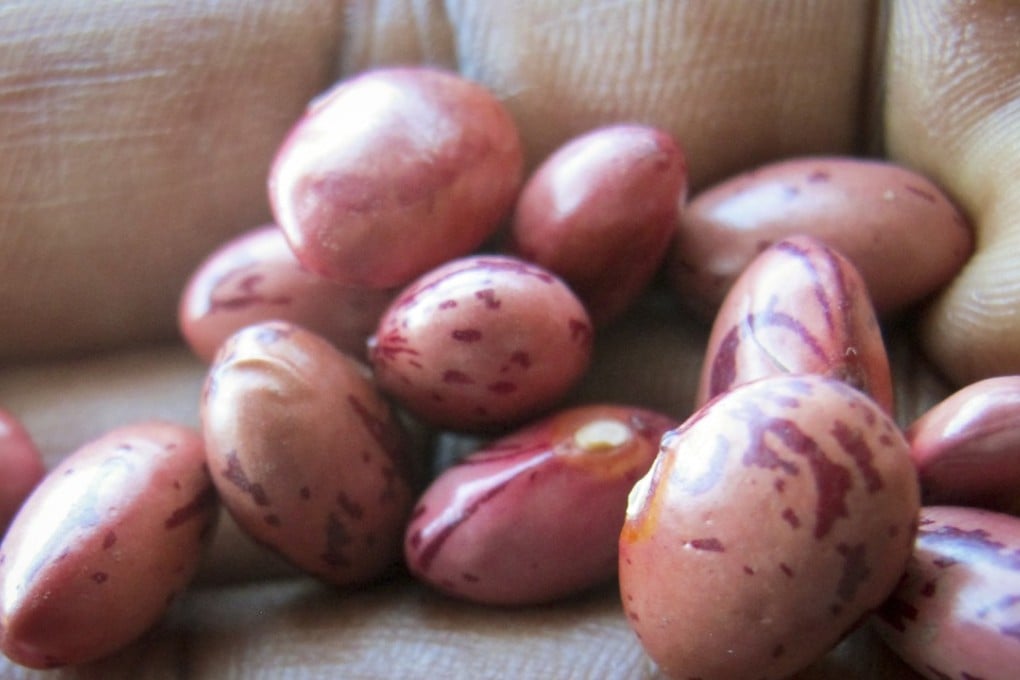 african local beans