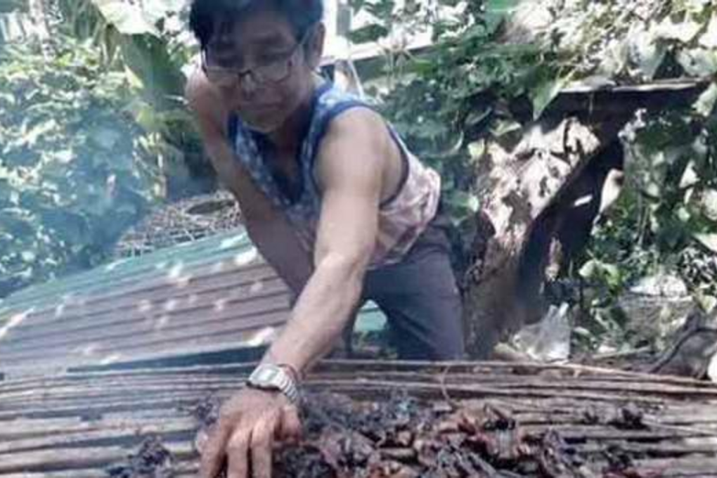 Grilled rats lucrative career for villagers in Thai province | South ...