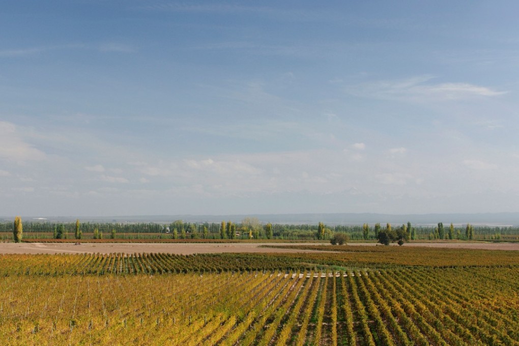 Grape & Grain | How scion of top Argentina wine family helped malbec ...