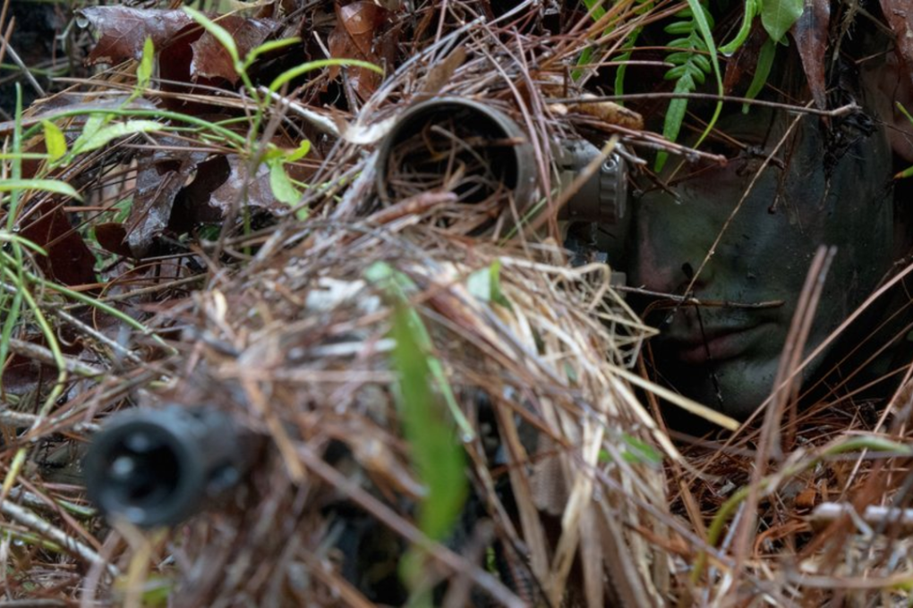 Photo shows a snake slithering over a hidden US Army sniper’s rifle as ...