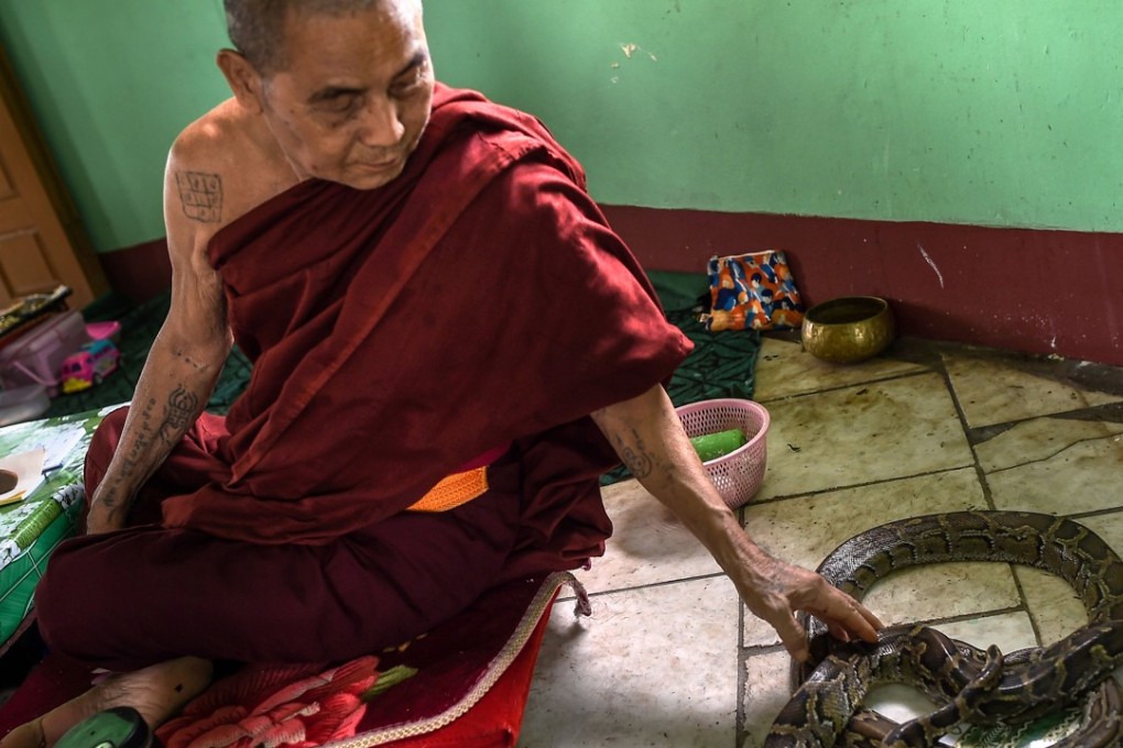 Inside Myanmar’s ‘snake temple’, now a nirvana for dozens of large ...