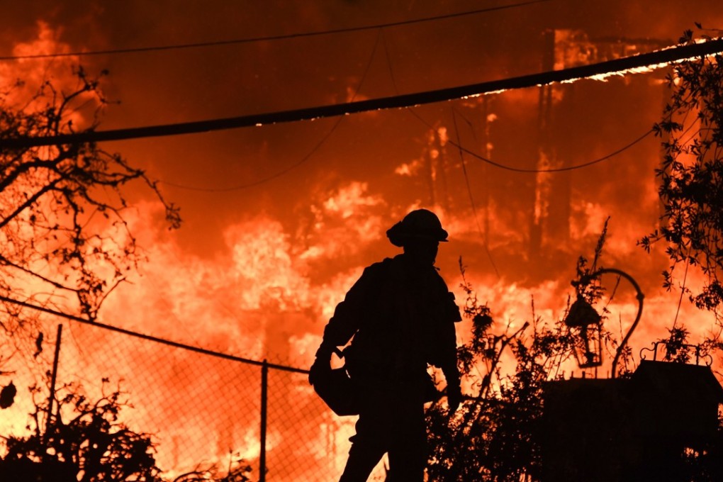 Aussie bodybuilder Calum von Moger rescues animals after almost losing ...