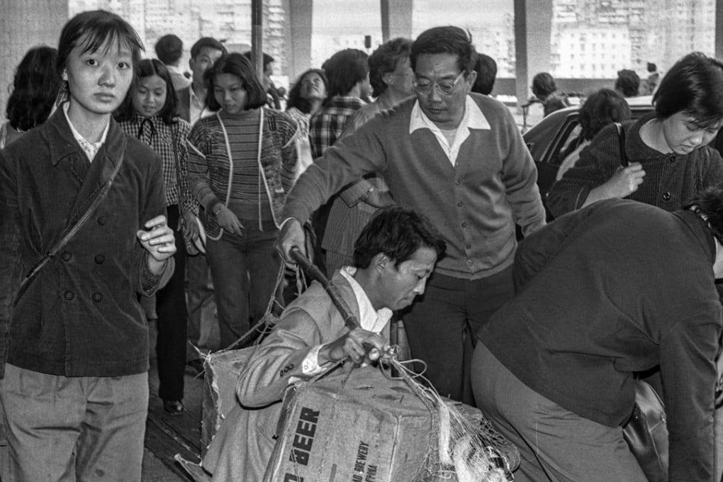 Remember A Day | Pigs on the loose in France and Cosmic Brotherhood ...