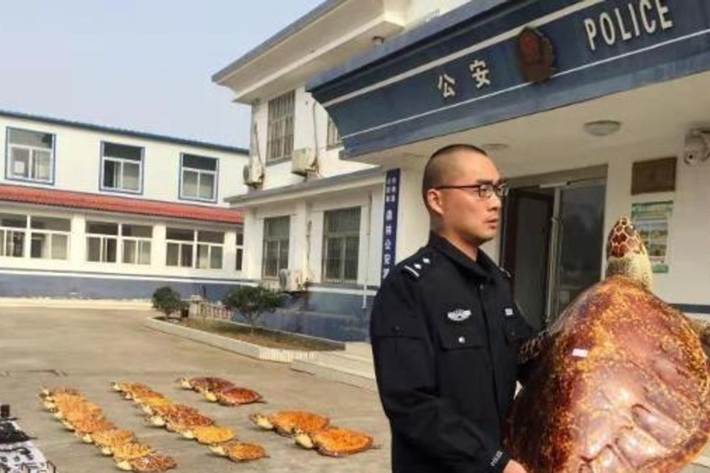 Chinese police seize turtle products, arrest 19 in black market ...