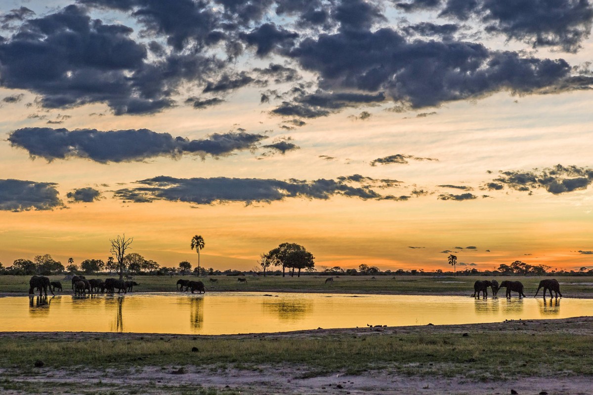 Daniel Scheffler | South China Morning Post