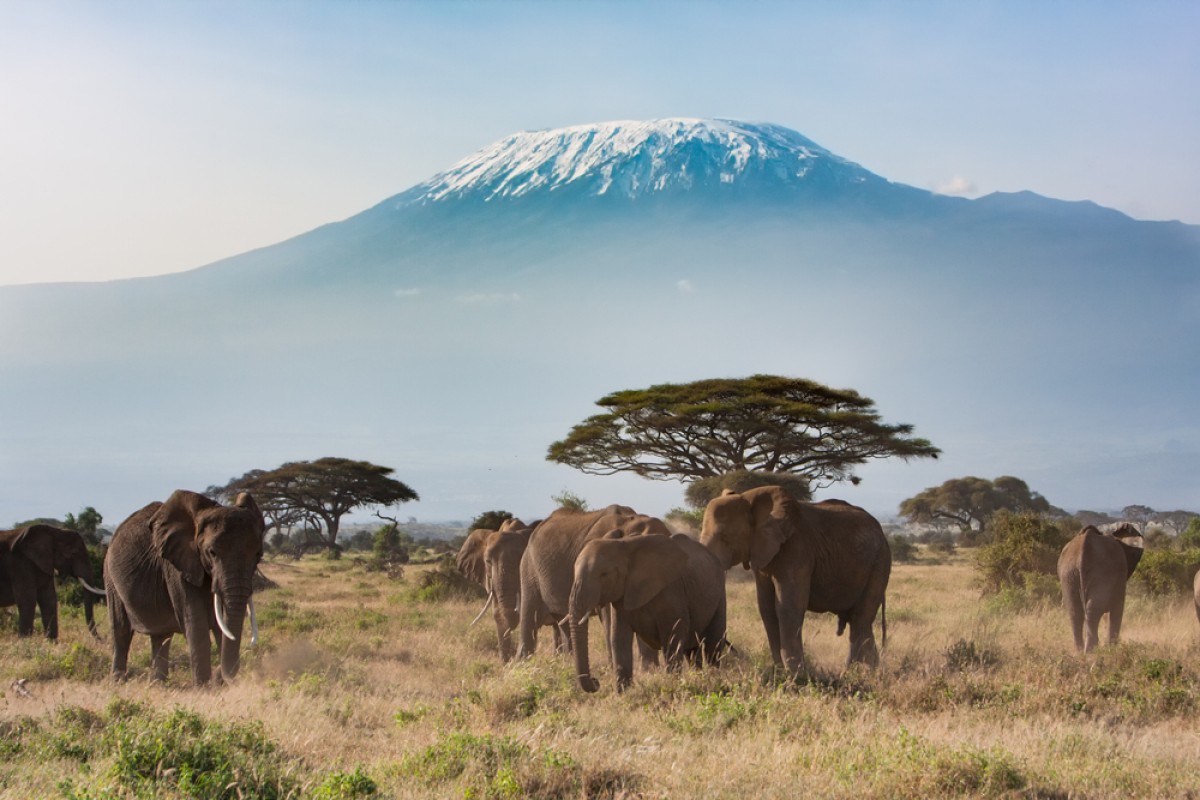 Tanzania offers travellers amazing outdoor adventures with natural ...