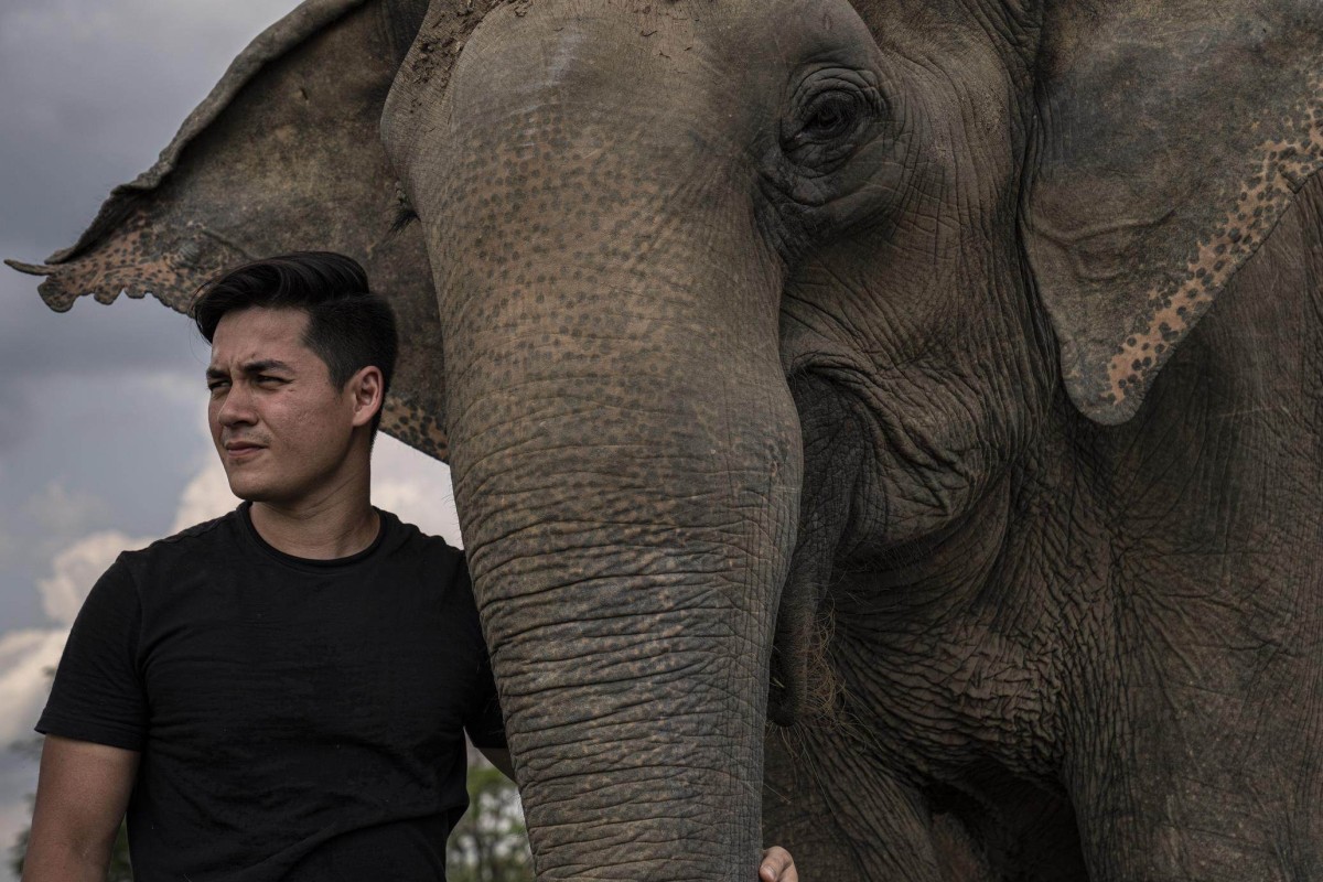 Mavis Teo | South China Morning Post