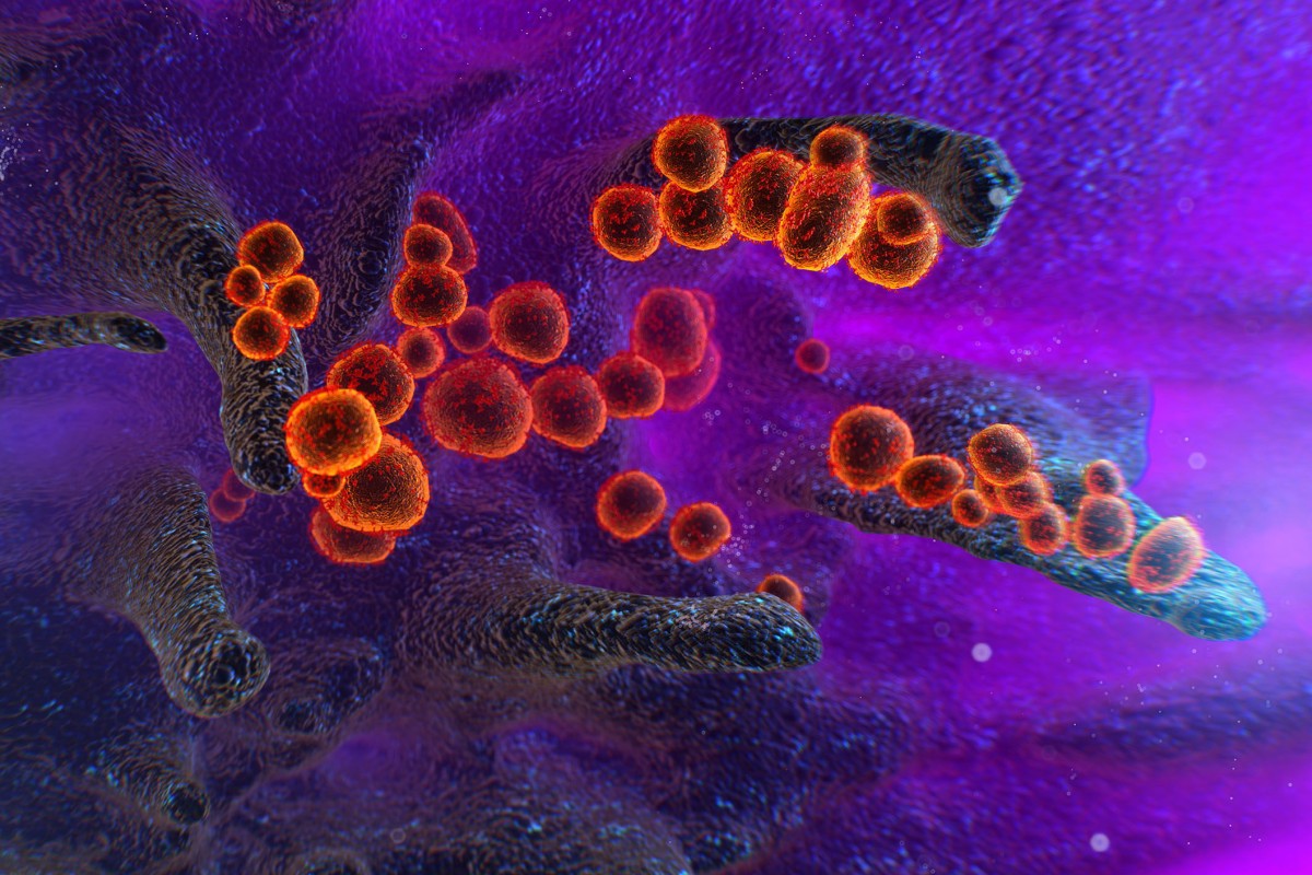 Mers virus | South China Morning Post